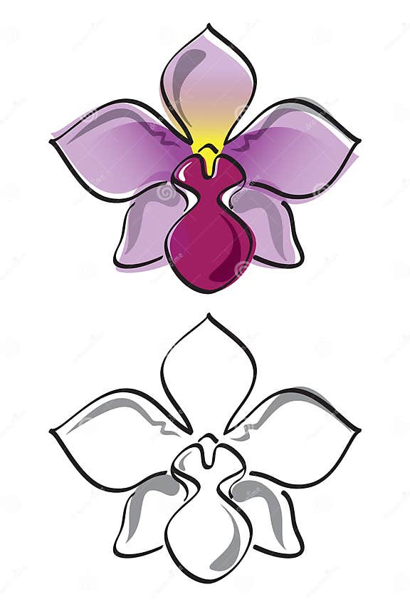 Orchid flower vector stock vector. Illustration of oval - 20910304