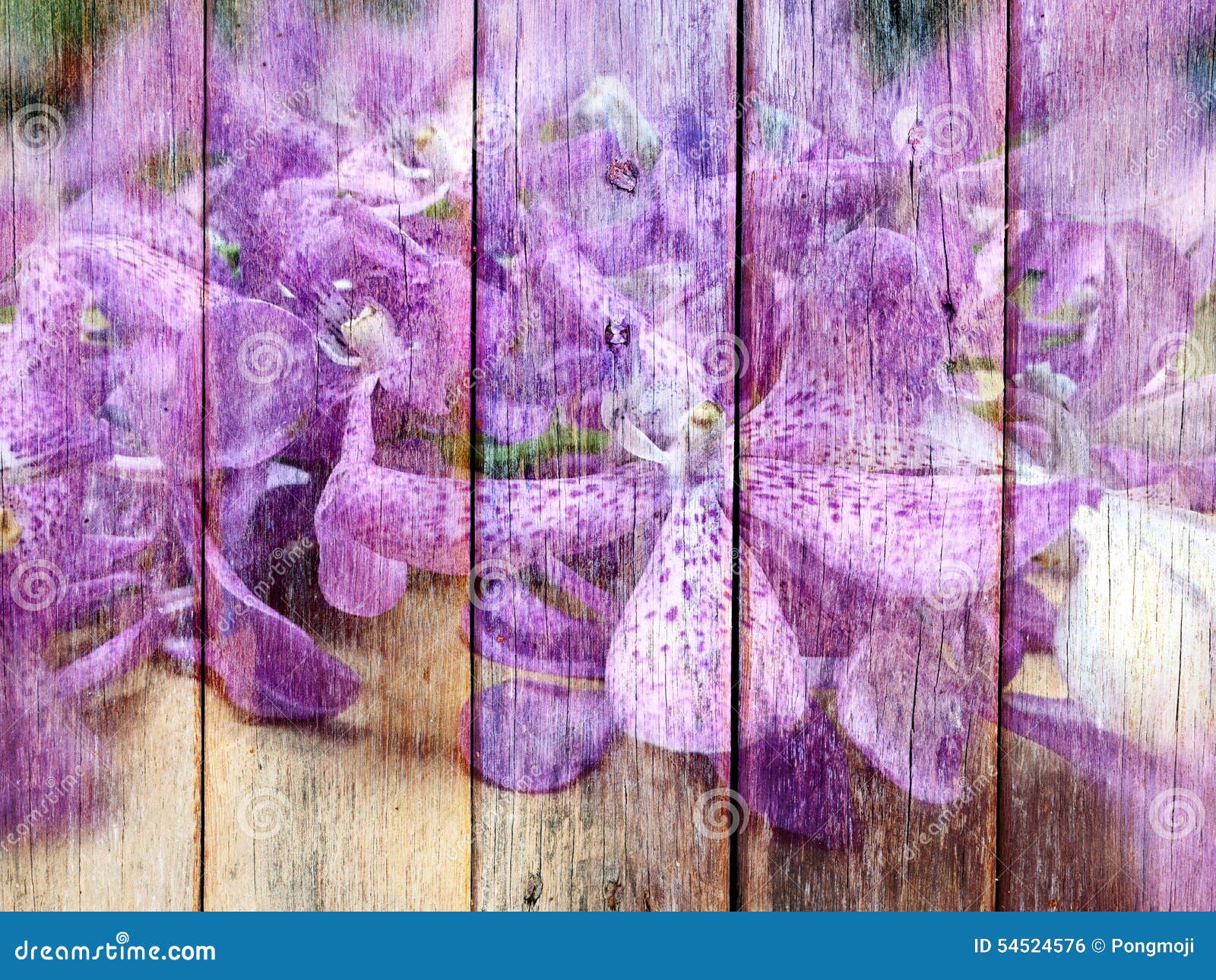 Orchid Flower on Wood Texture Stock Photo - Image of parquet, design ...