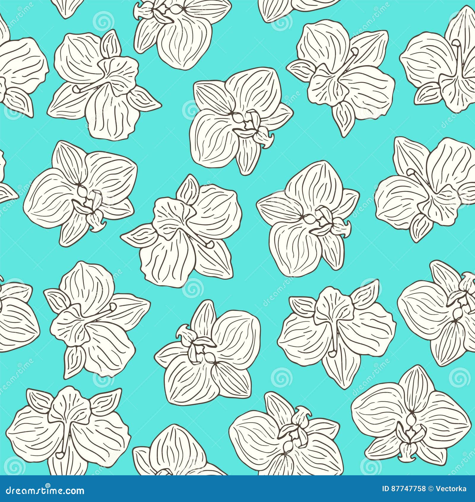 Orchid Flowers Seamless Pattern Stock Vector - Illustration of isolated ...