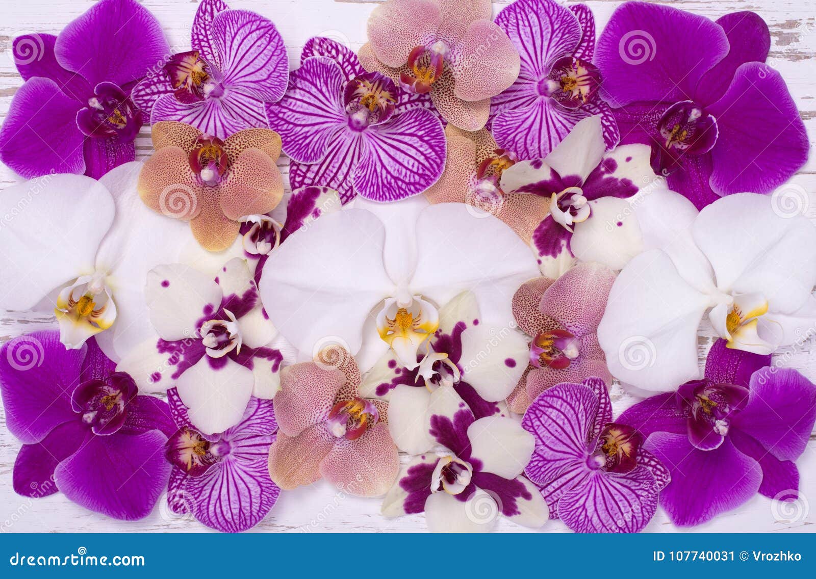 Orchid Flowers on White Wooden Table, Top View Stock Image - Image of ...