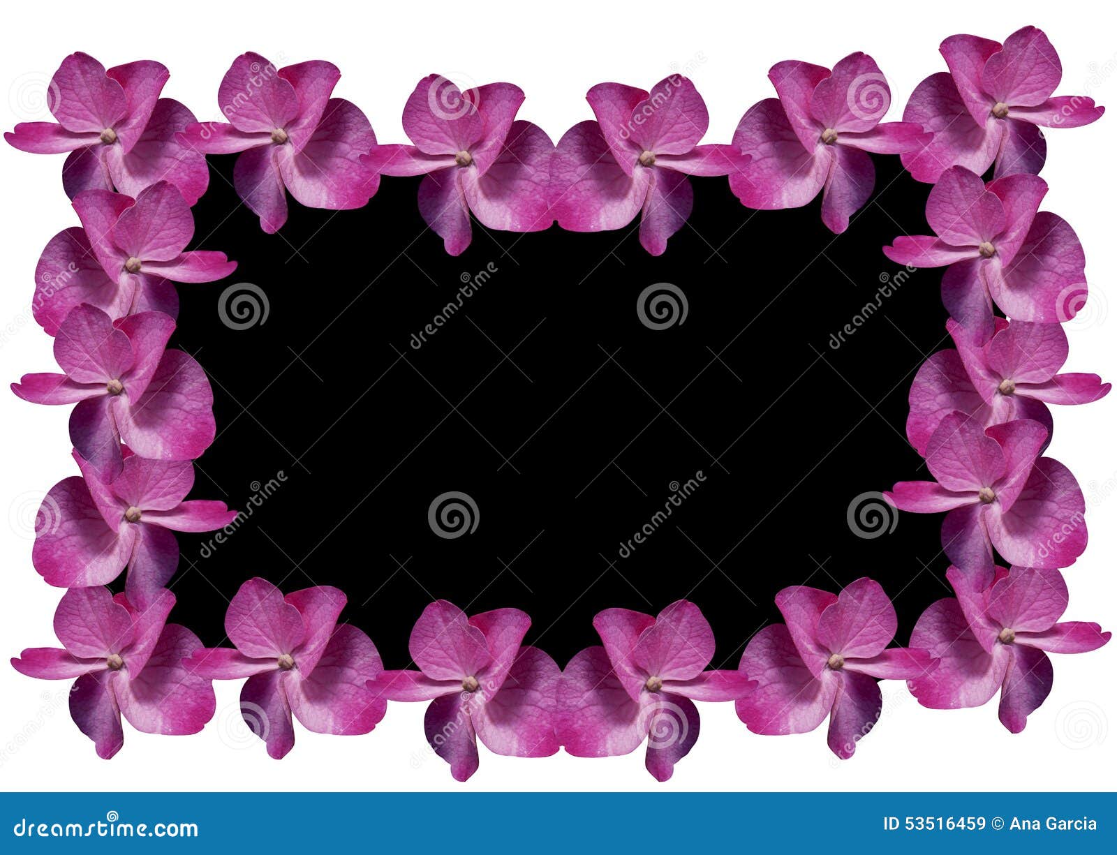 Orchid frame stock image. Image of purple, flowers, pretty - 53516459