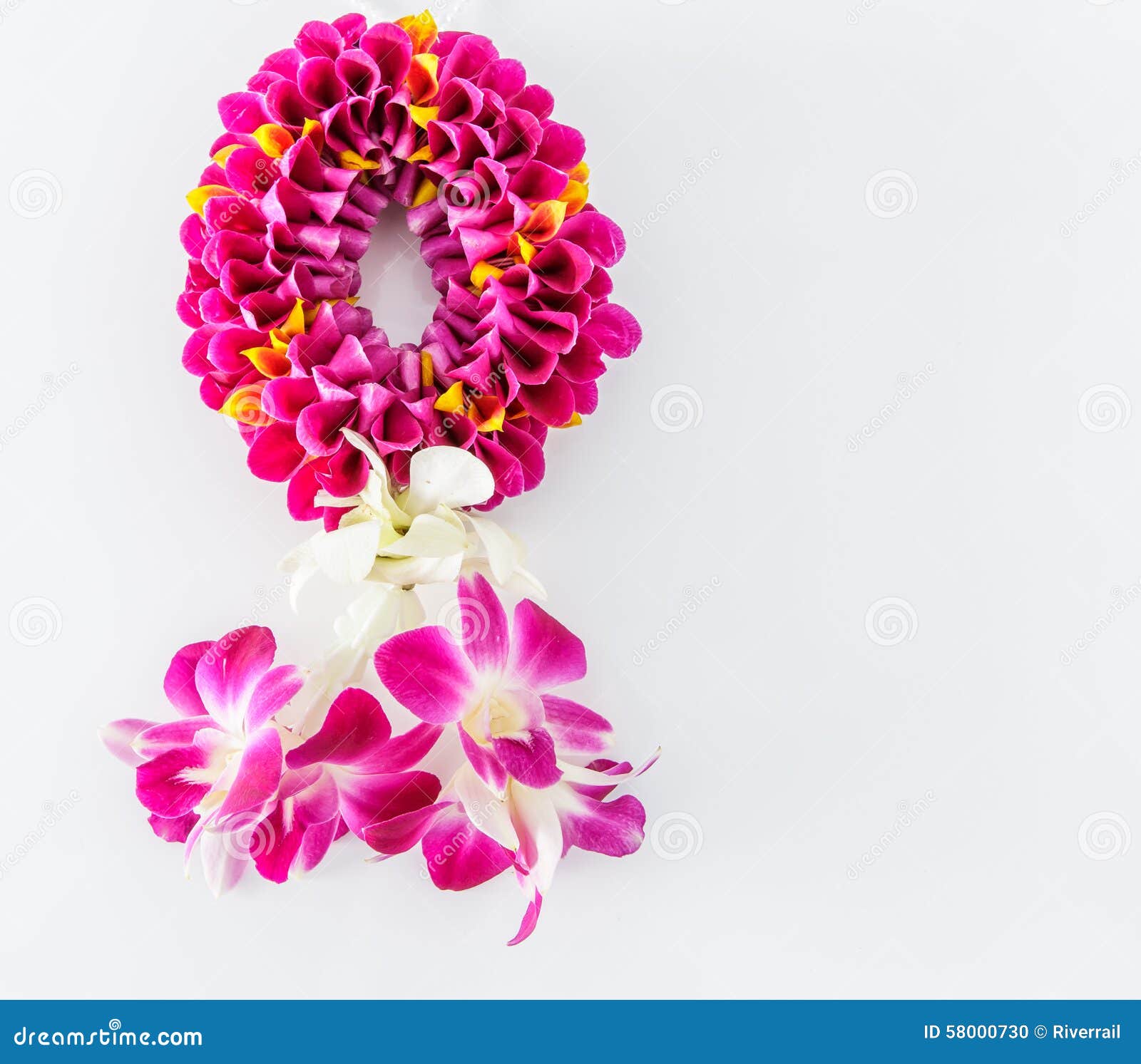 Orchid garland stock photo. Image of fresh, offering - 58000730