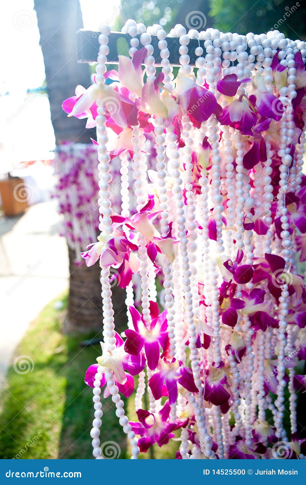 Orchid Garlands by a Restaurant Stock Photo - Image of purple, songkran ...