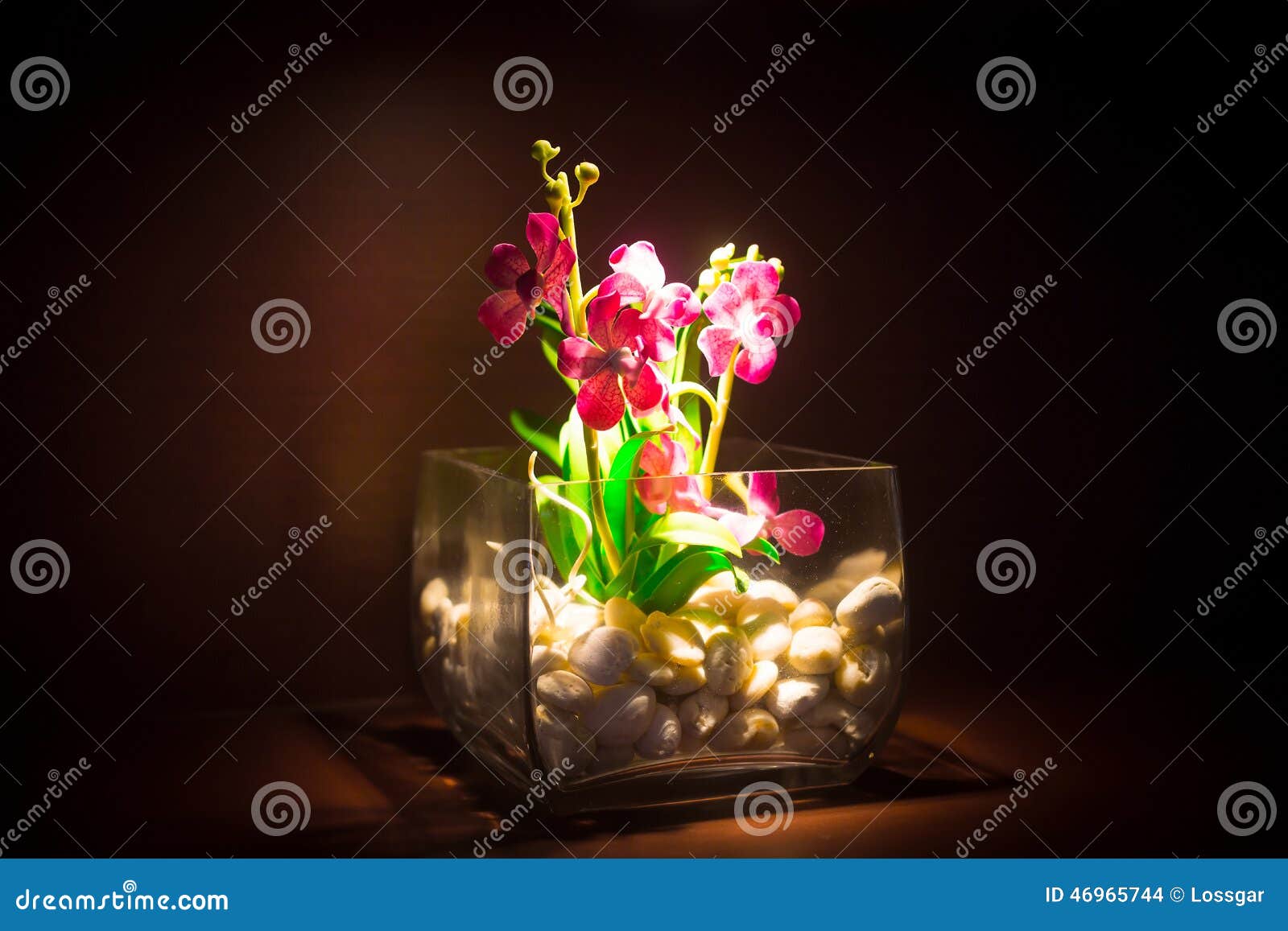 Orchid in a glass vase stock photo. Image of travel, leaf - 46965744