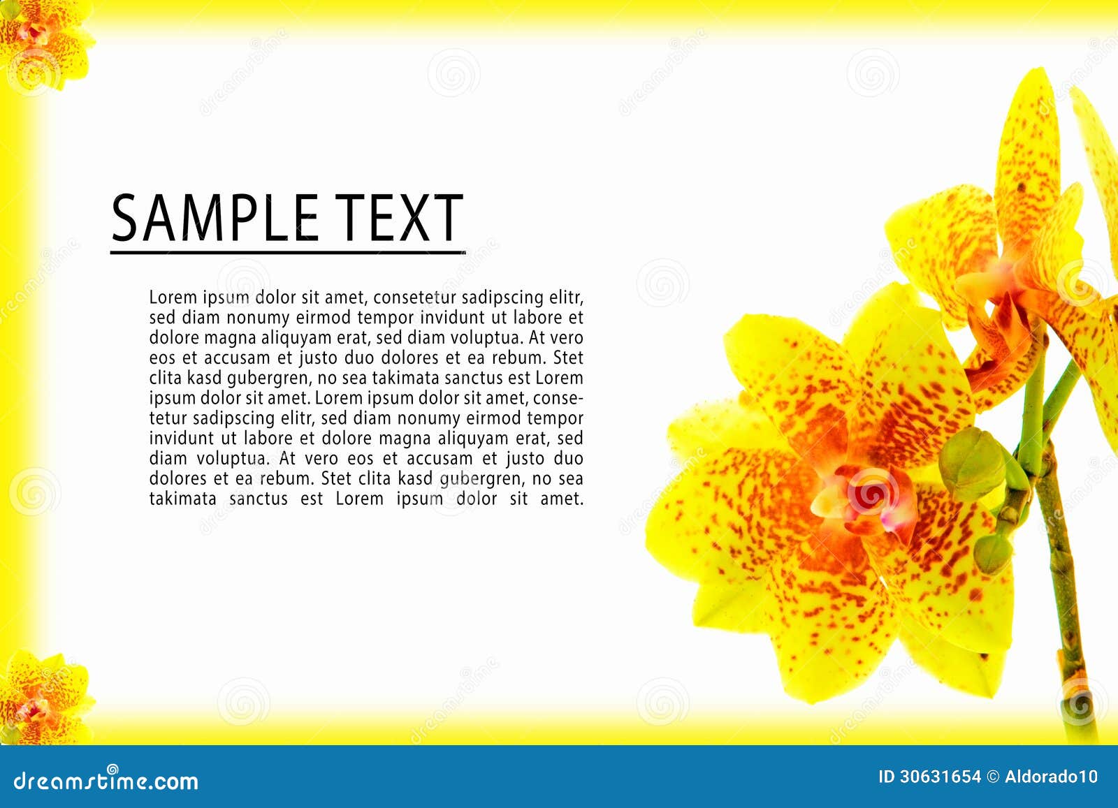 Orchid greeting card stock photo. Image of decorative - 30631654