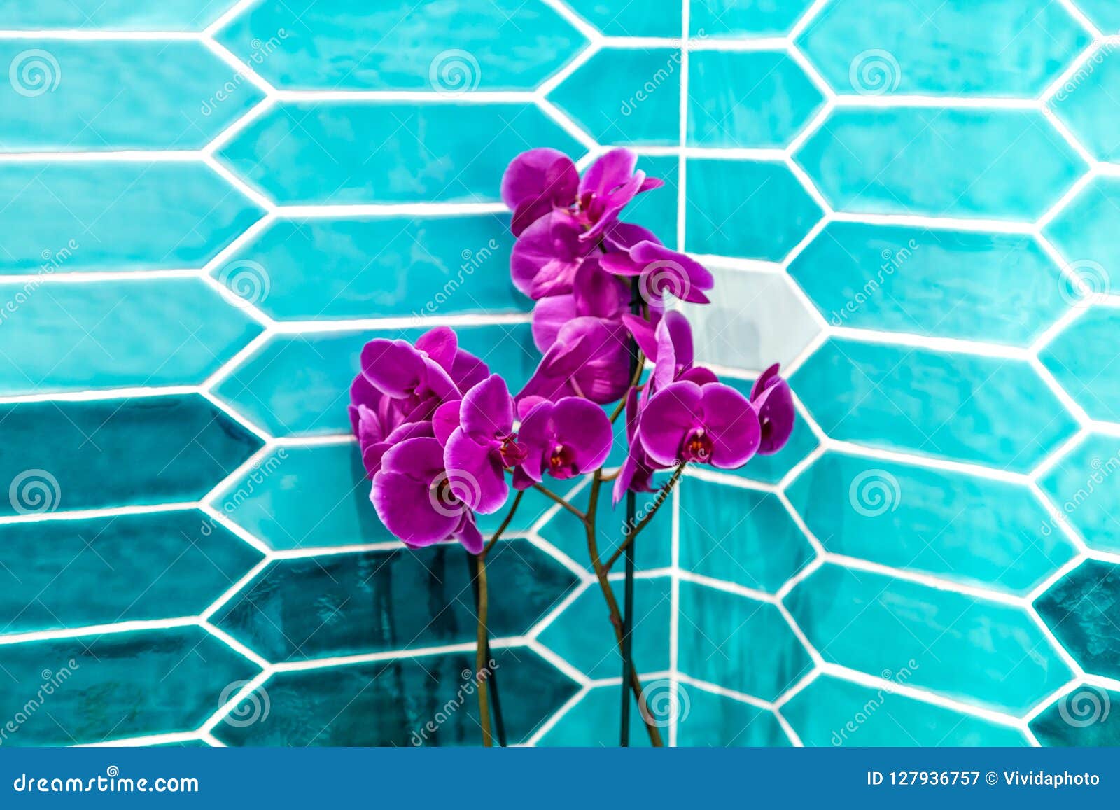 Orchid on Mosaic Tiles Background Stock Image - Image of blue, kitchen ...