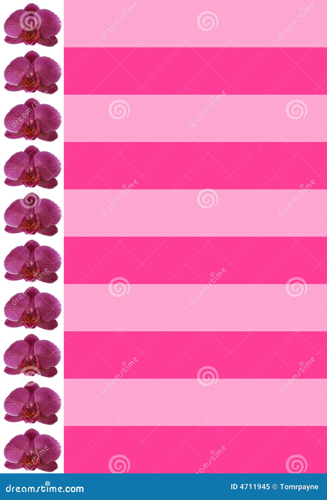 Orchid Note Paper stock image. Image of stripes, shades - 4711945