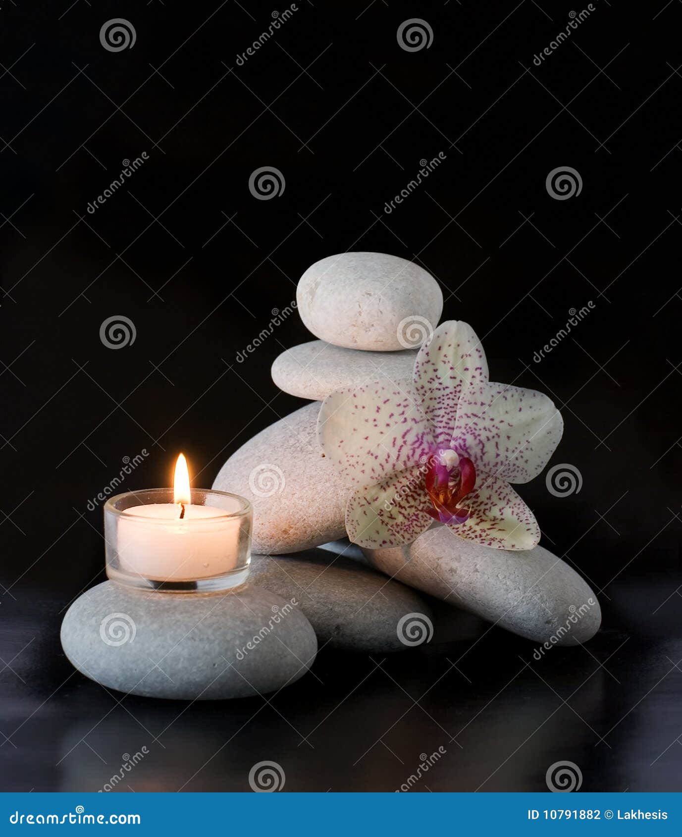 Orchid on rocks stock photo. Image of orchid, meditating - 10791882