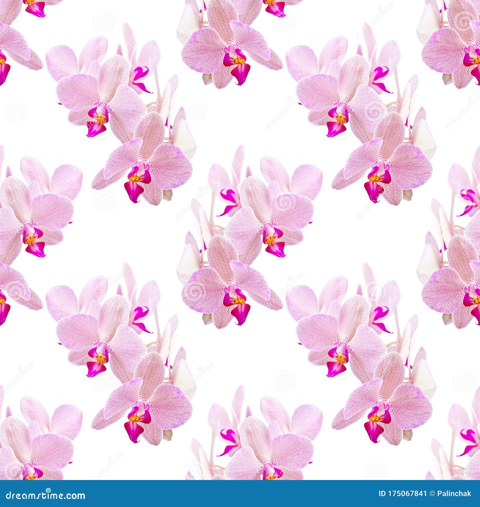 Orchid seamless pattern stock illustration. Illustration of seamless ...