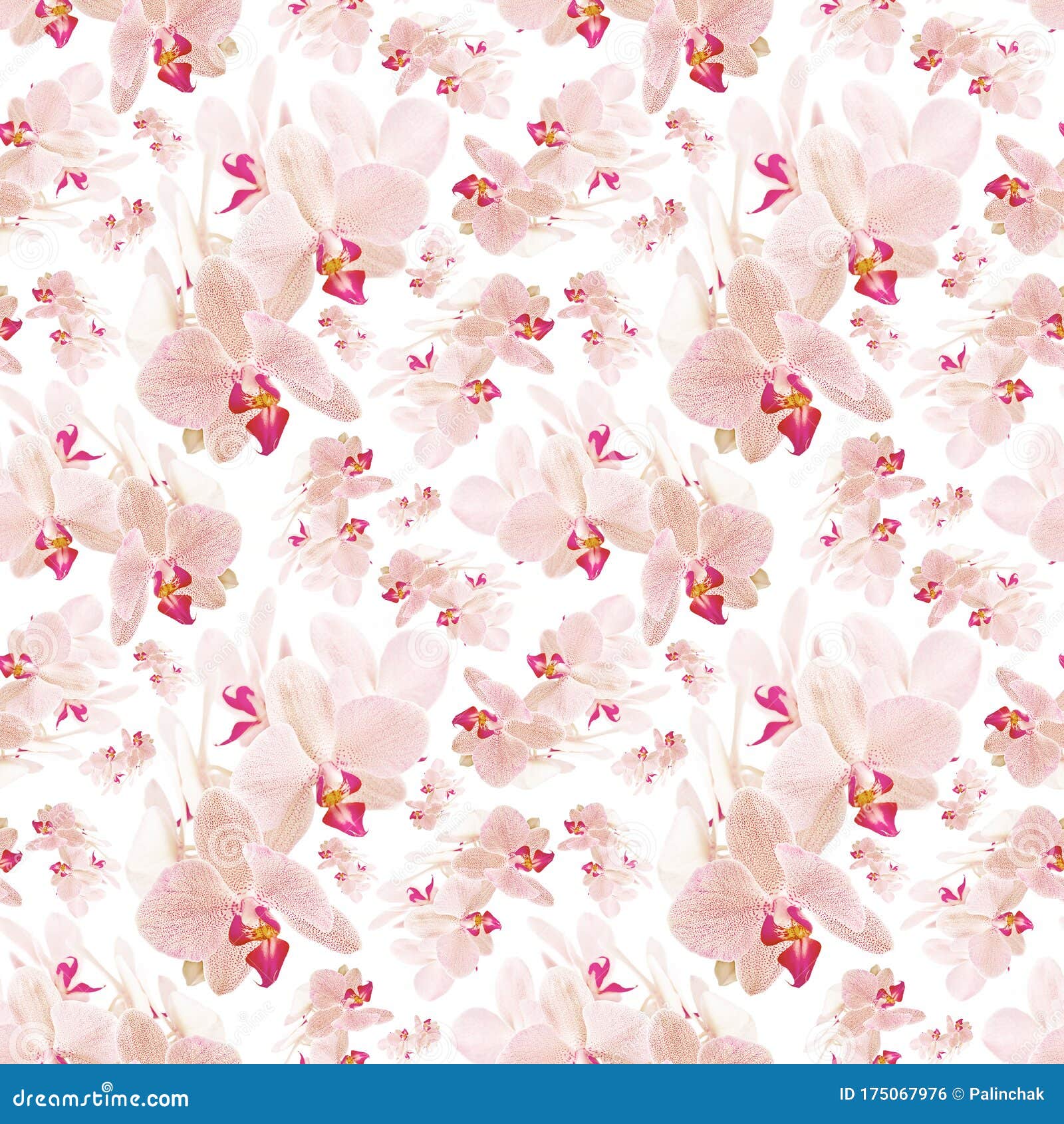 Orchid Seamless Pattern Stock Illustration Illustration Of Botany