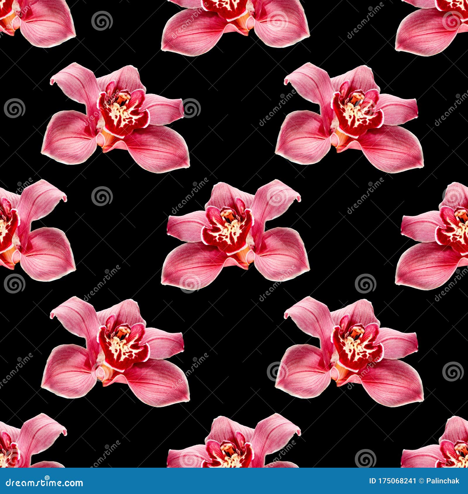 Orchid seamless pattern stock illustration. Illustration of decoration ...