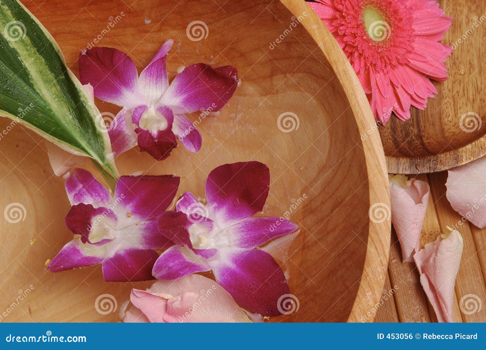 Orchid Spa stock photo. Image of aromatherapy, fragrance - 453056