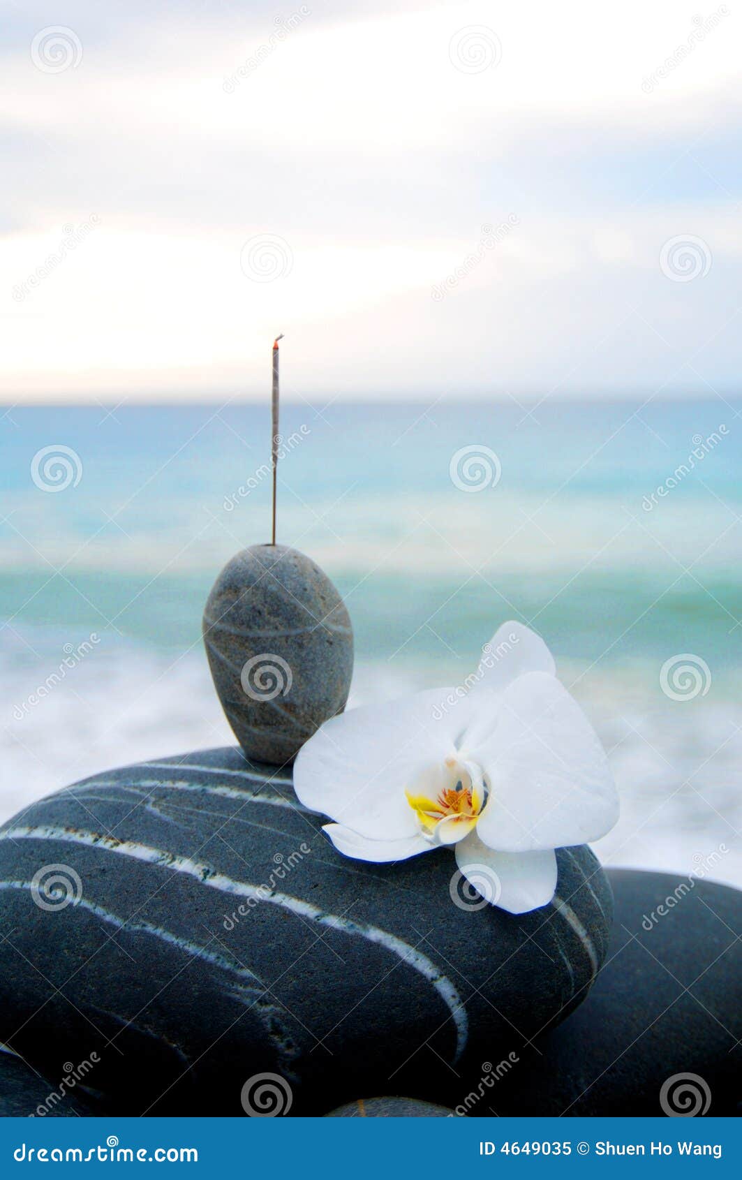 Orchid and stone stock image. Image of east, black, blance - 4649035