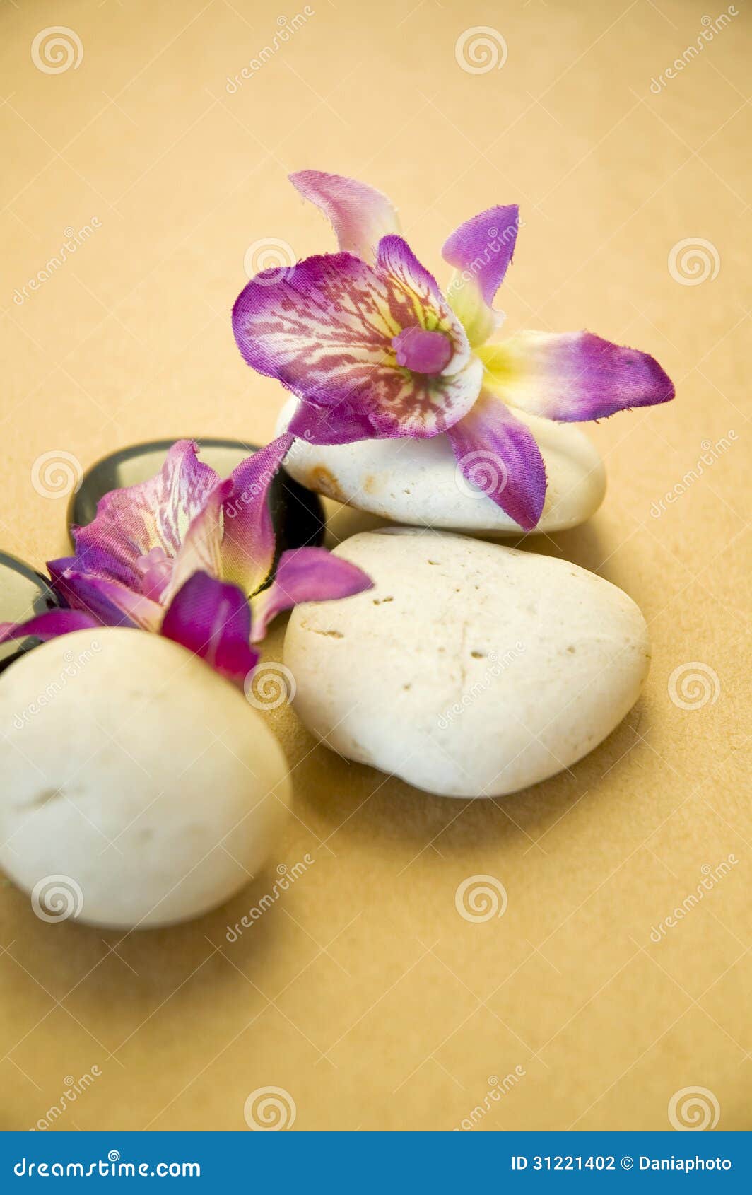 Orchid With Stone On Brown Background Stock Photo - Image of relaxation ...