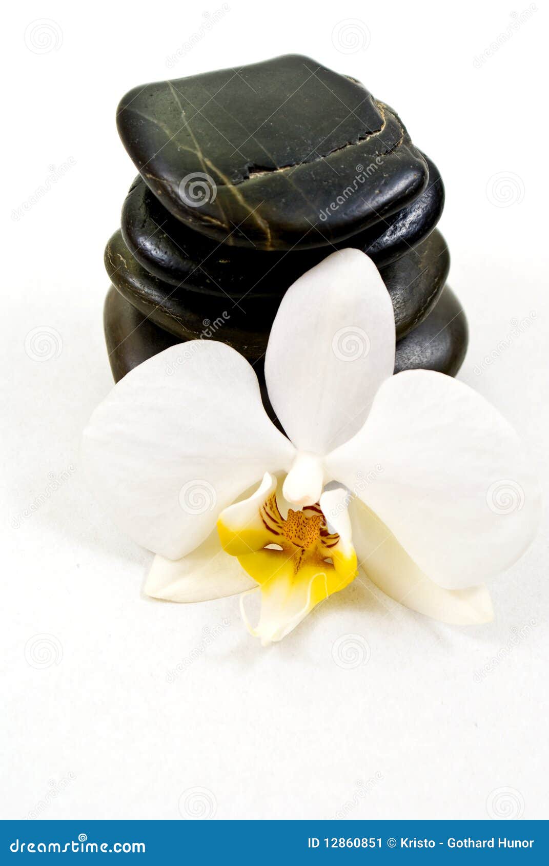 Orchid and stones stock image. Image of elegant, flower - 12860851
