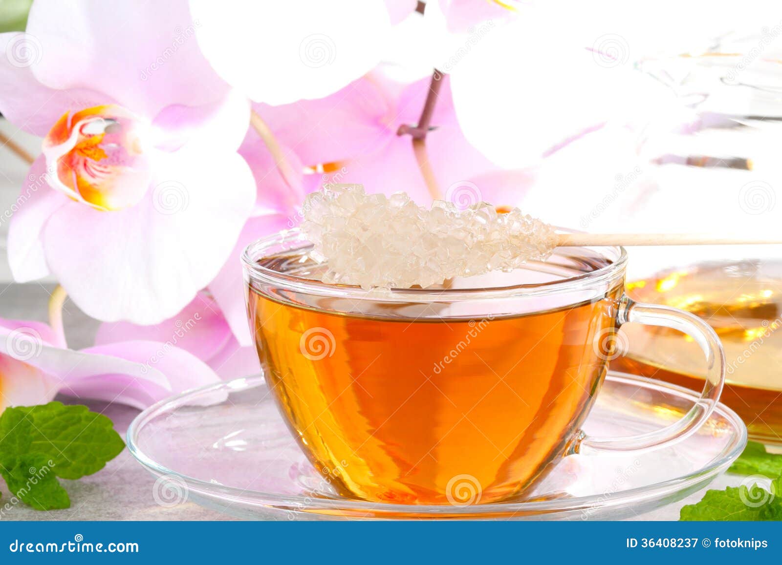 Orchid tea stock image. Image of greeting, accessories - 36408237