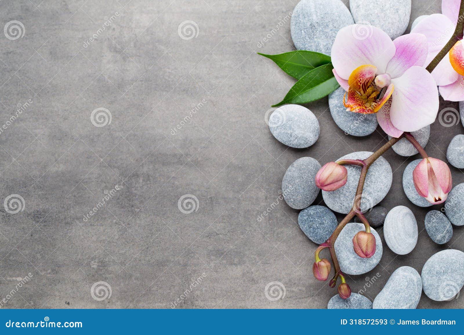 Spa Orchid Theme Objects on Grey Background Stock Image - Image of stone, wellness: 318572593