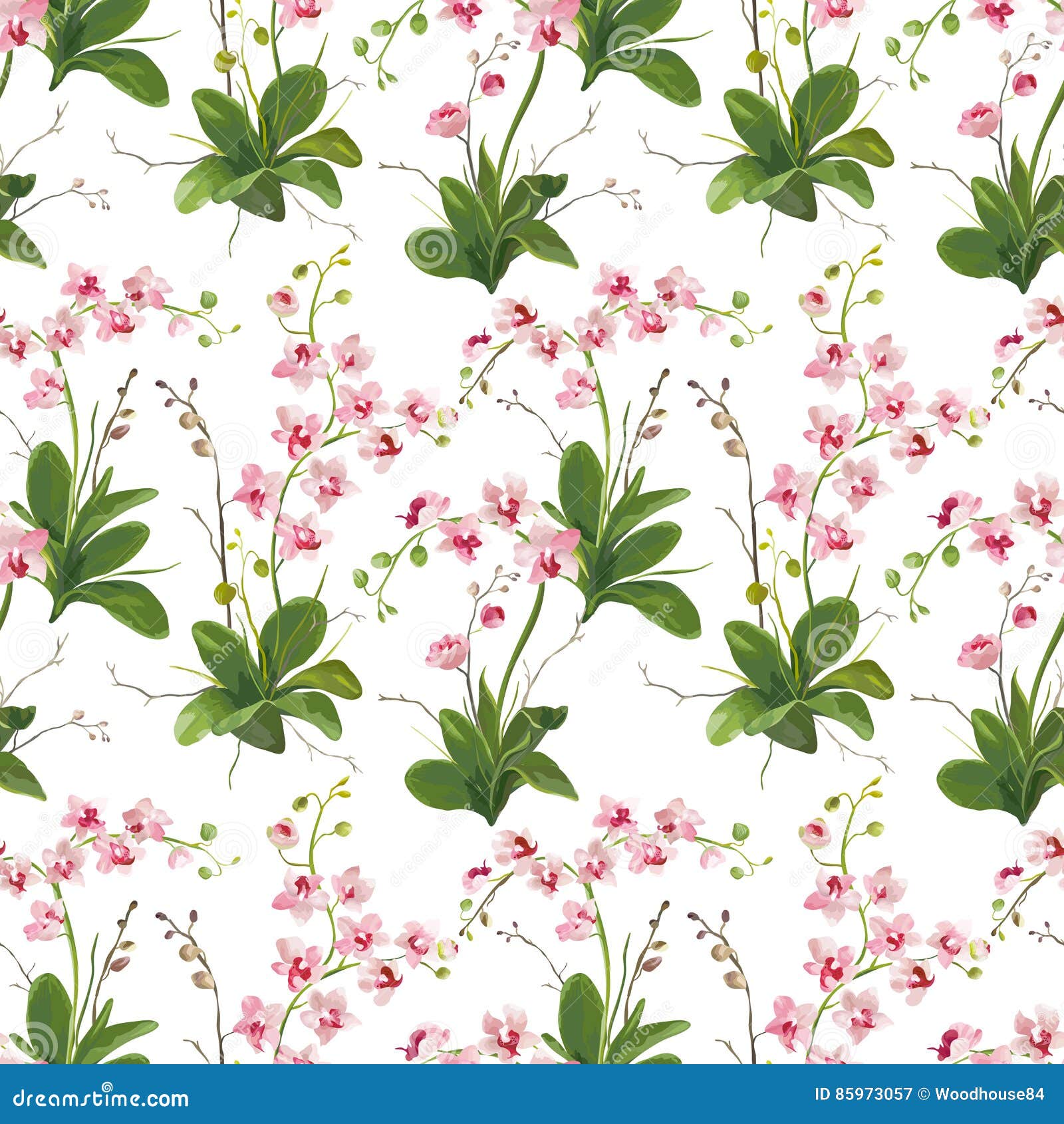 Orchid Tropical Leaves and Flowers Background. Seamless Pattern Stock ...