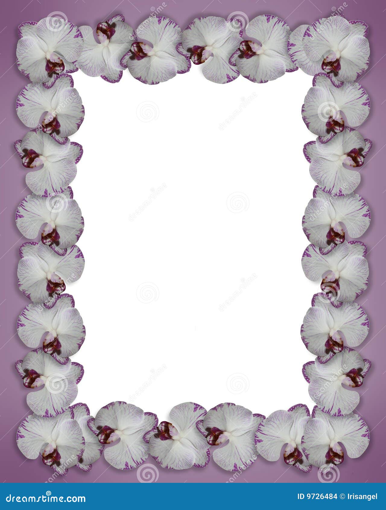 Orchids border purple stock illustration. Illustration of marriage ...