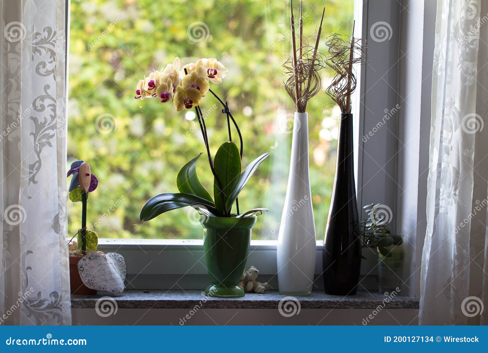 Orchids and Decorative Vases on a Window Sill Stock Photo - Image of ...