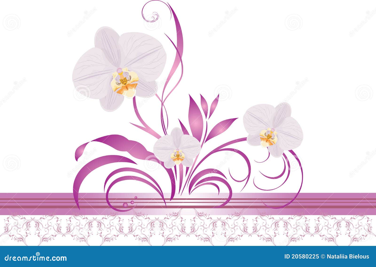 Orchids with Floral Ornament. Decorative Border Stock Vector ...