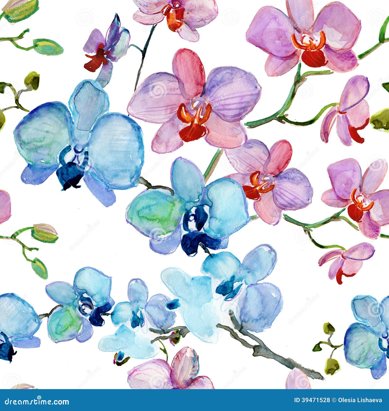 Orchids Flowers Watercolor Illustration Stock Illustration