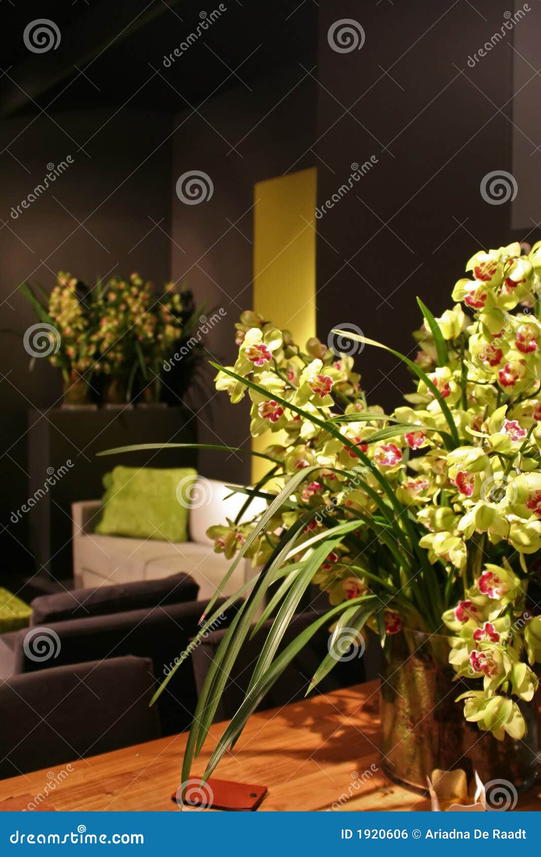 Orchids in interior stock photo. Image of house, decorated - 1920606