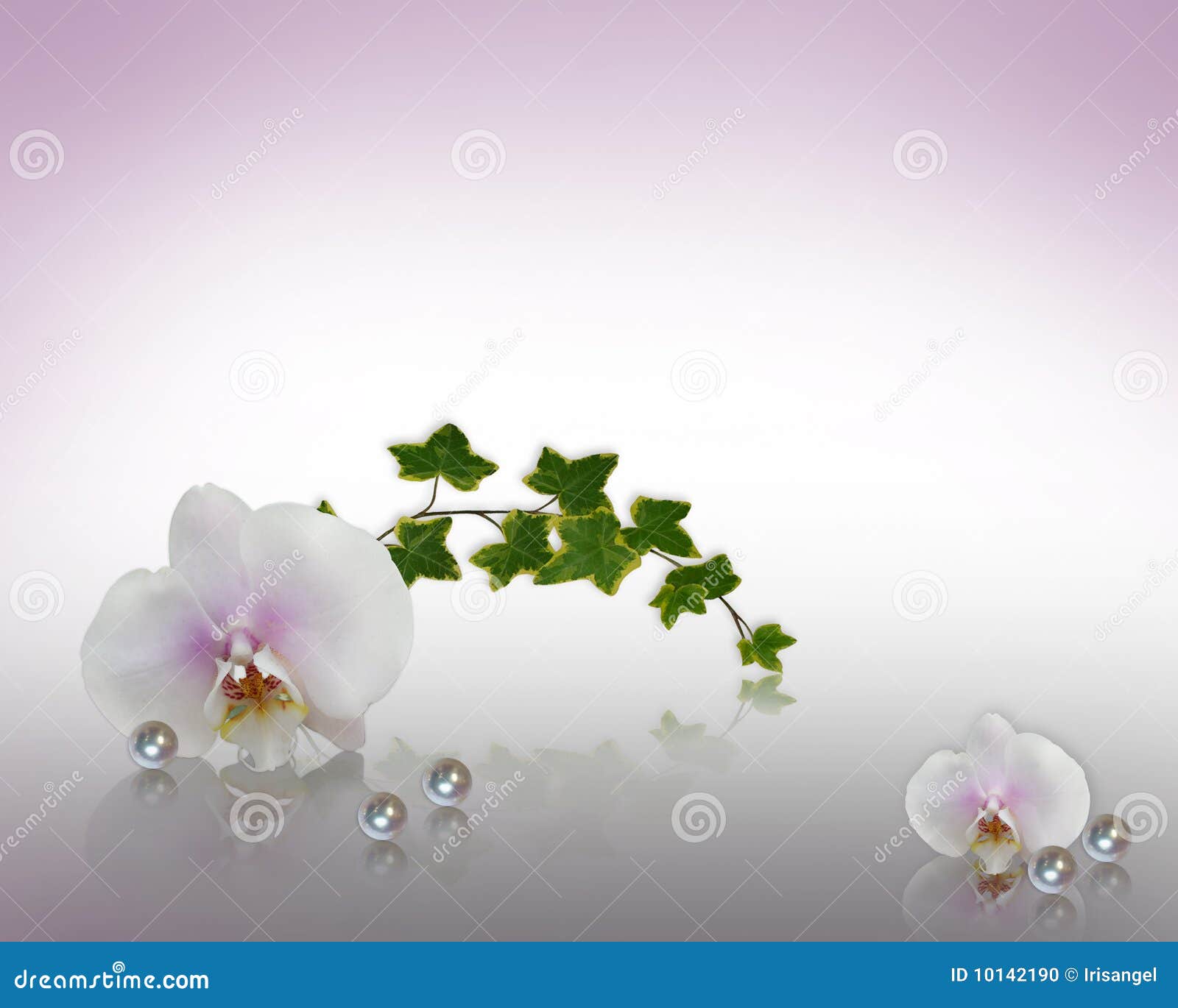 Orchids and Pearls Wedding Invitation Stock Illustration - Illustration ...