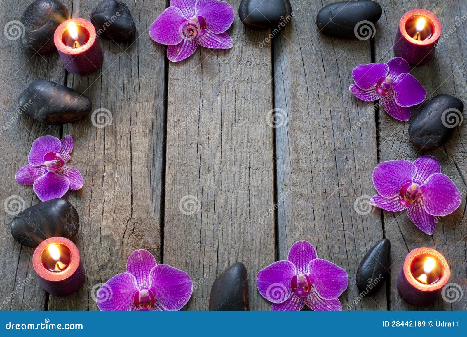 Orchids and Spa Stones Border Stock Image - Image of pink, elements ...