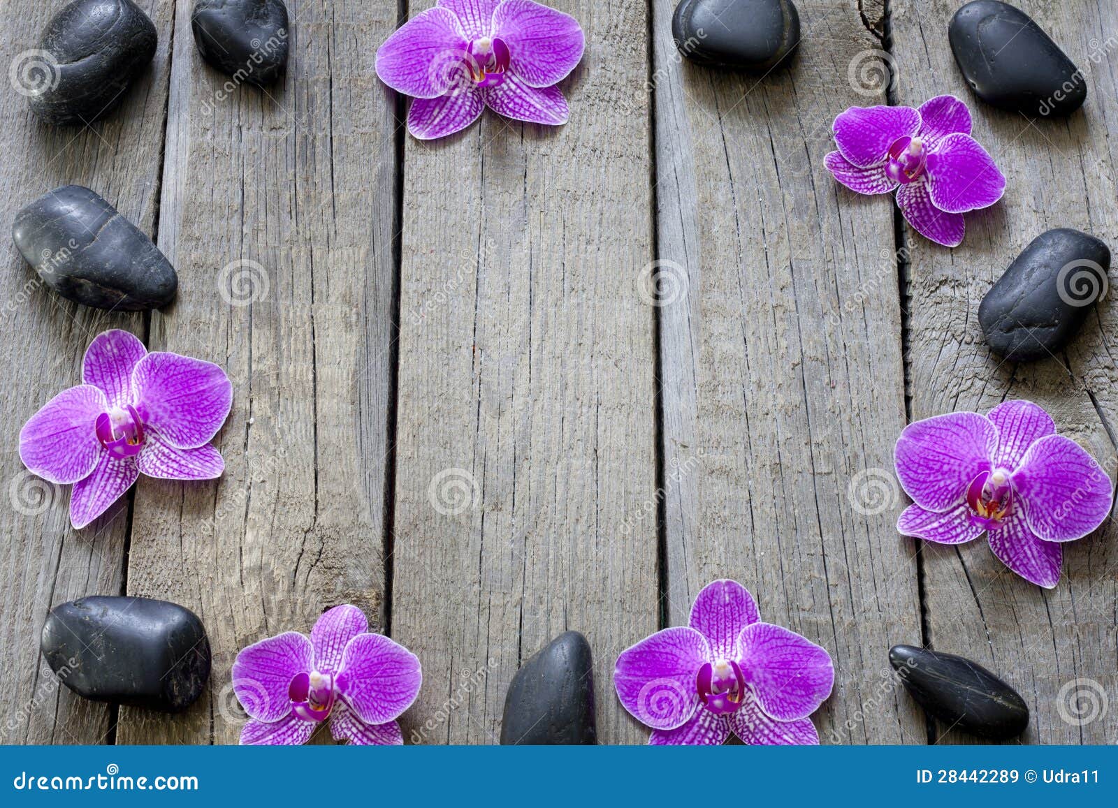 Orchids and Spa Stones Border Stock Image - Image of blossom, creative ...