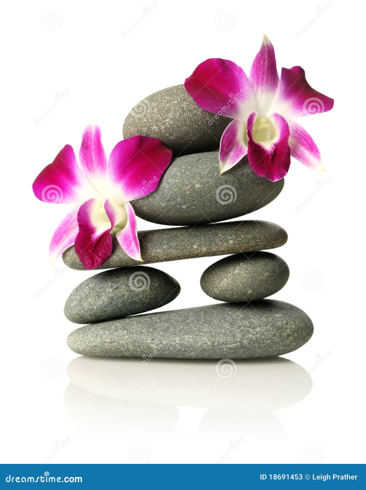 Orchids on stacked stones stock image. Image of peace - 18691453