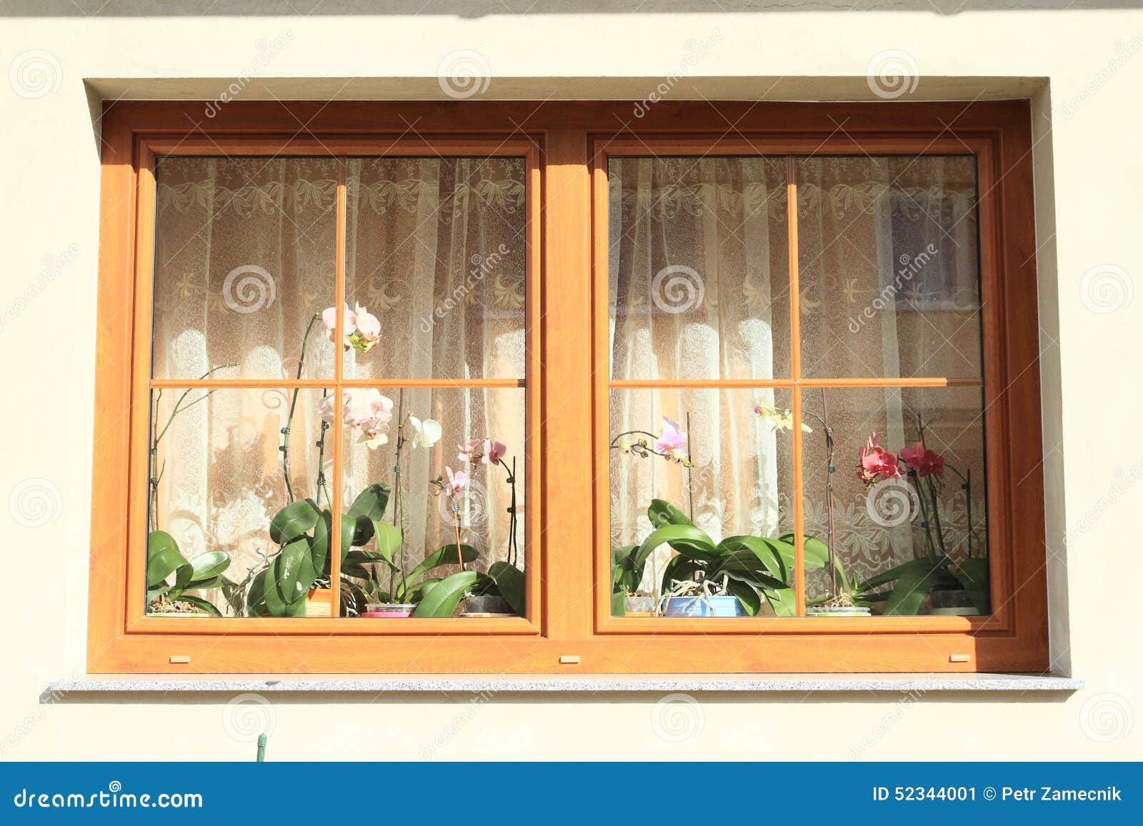 Orchids in window stock image. Image of flowers, window - 52344001