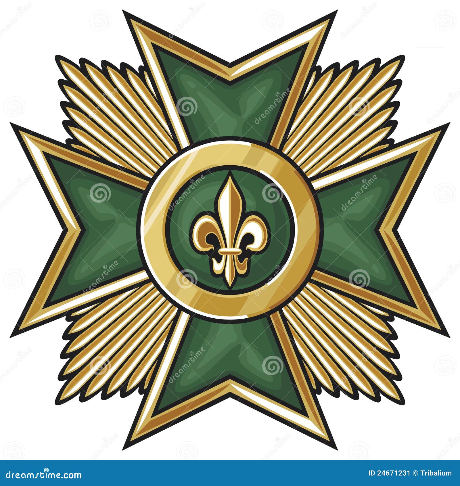 Order stock vector. Illustration of force, green, heraldic - 24671231