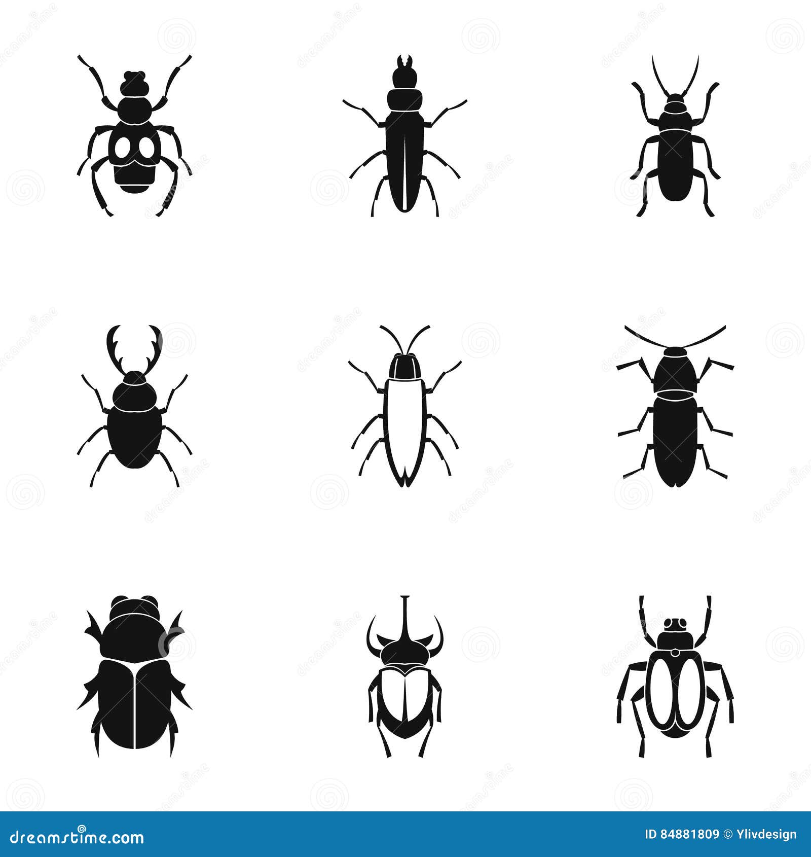 Order Coleoptera Icons Set, Simple Style Stock Vector - Illustration of ...