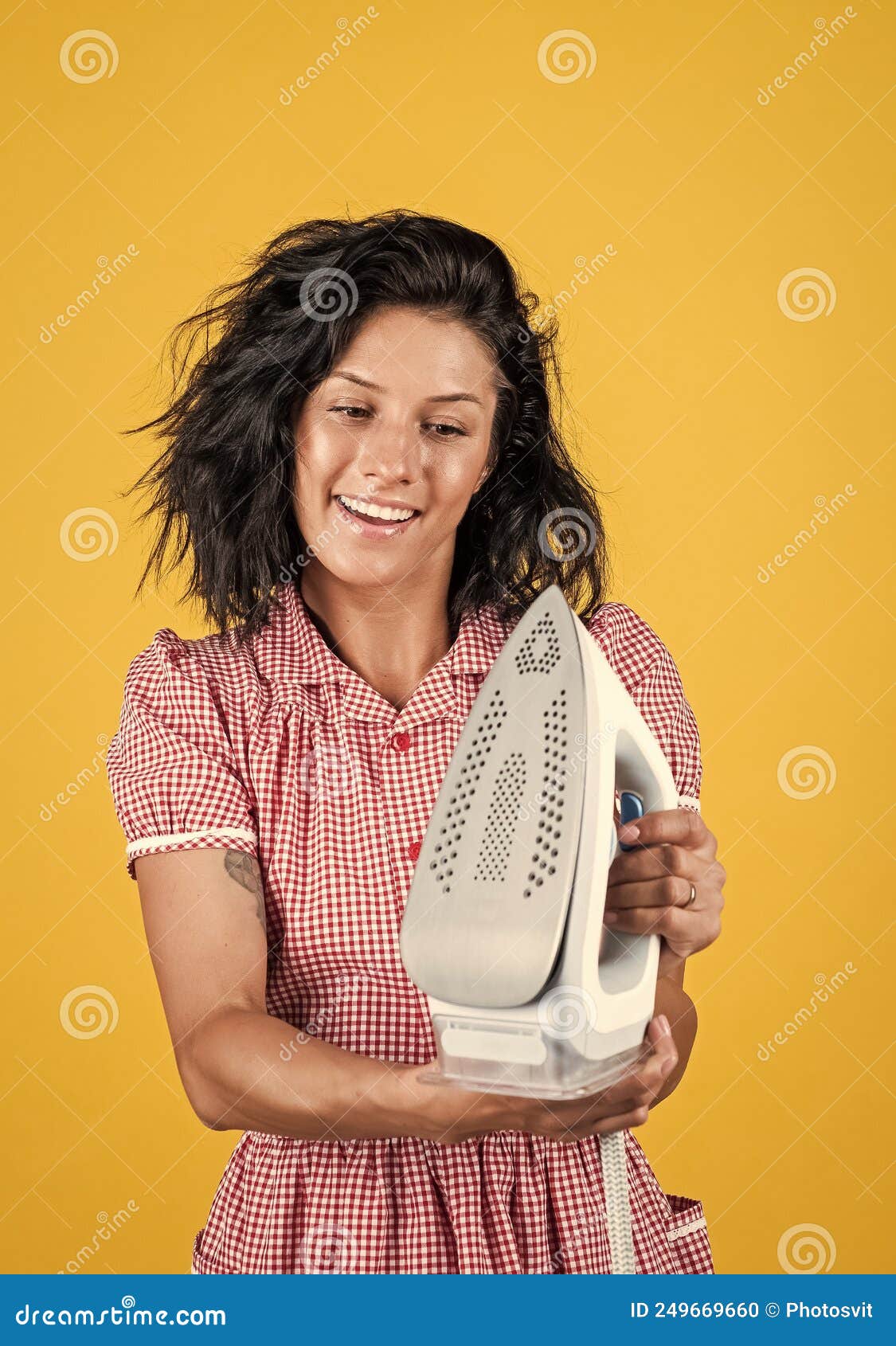 Order Services Good Wife Concept Happy Pinup Woman Retro Maid