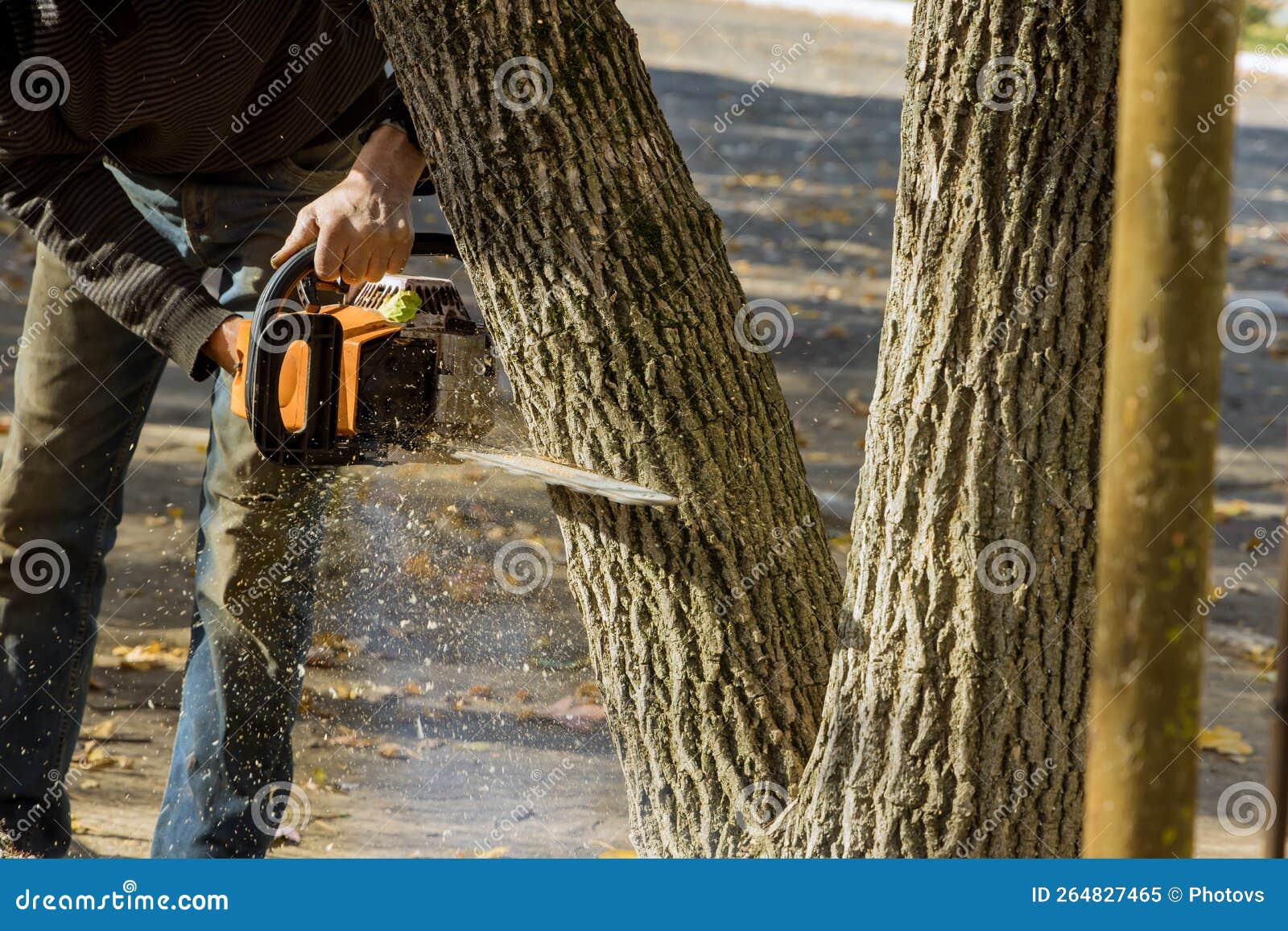 In Order To Clean the Park, a Municipal Worker Uses a Chainsaw To Cut ...
