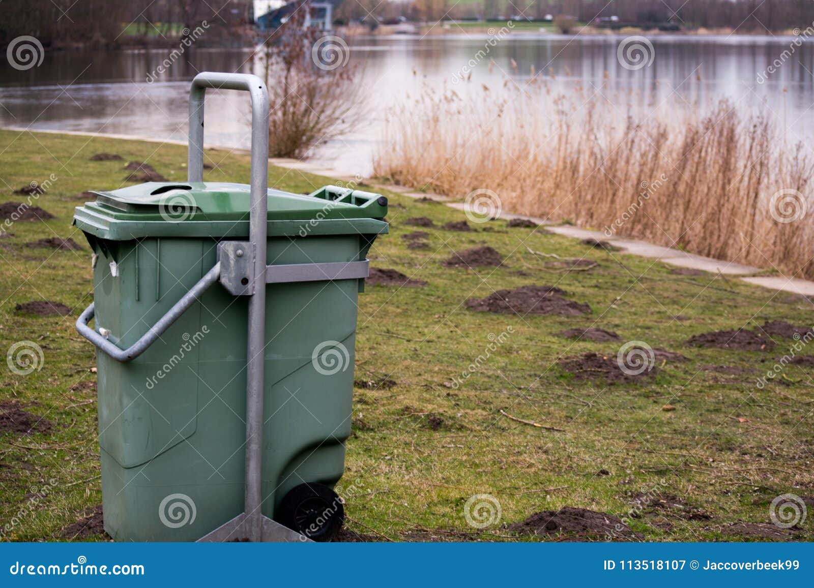 Green Garbage Bin Trash in the Forest Grass Water Nature Object Stock ...