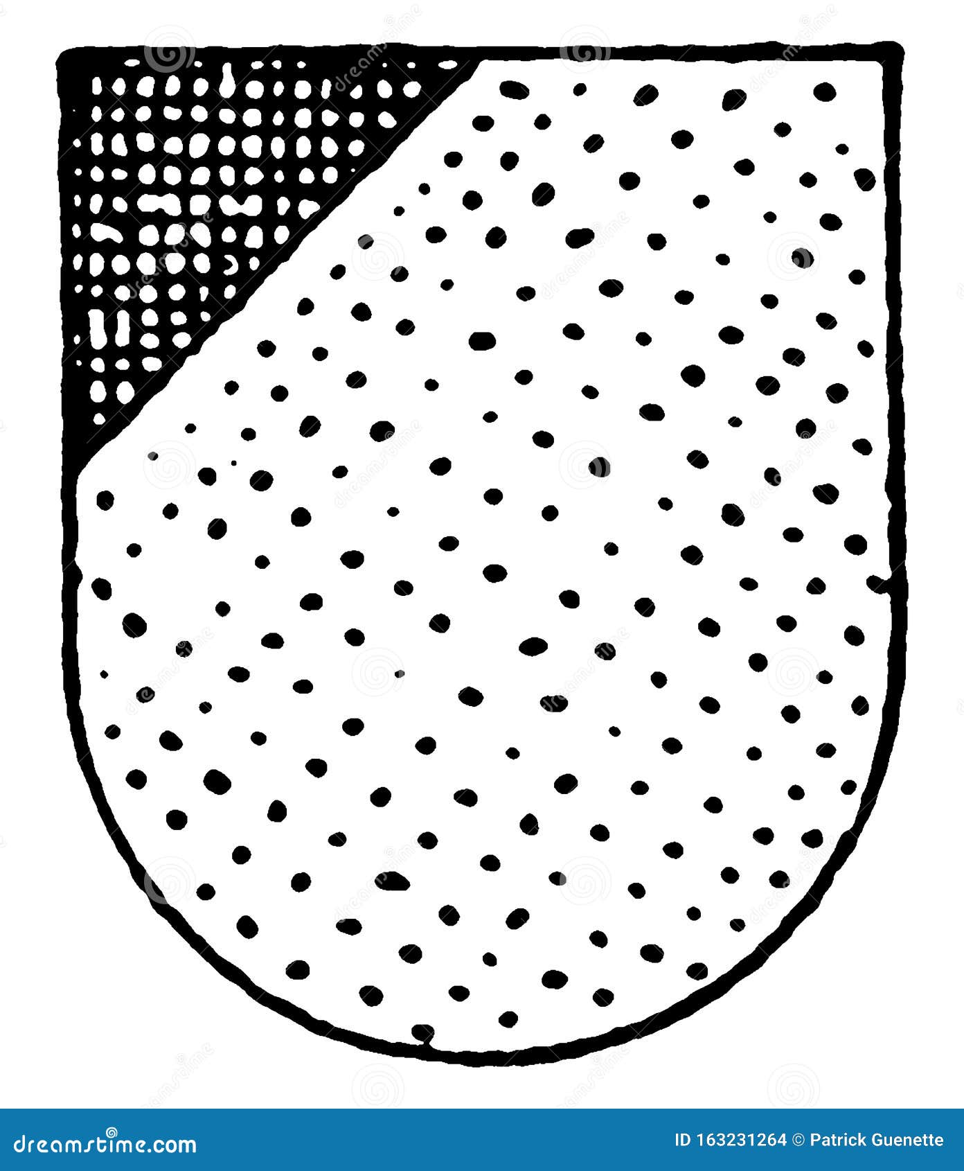 Sable Line Art, Set Of Stylized Seated Sables With Fluffy Tails Cartoon ...