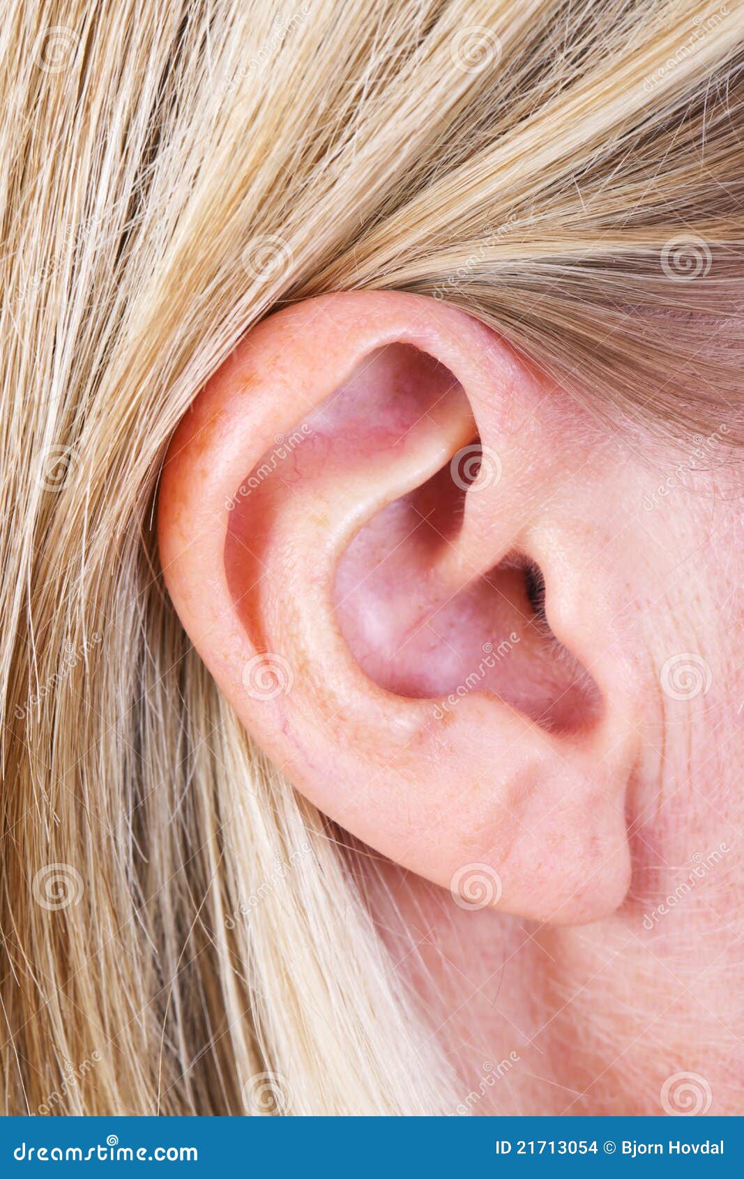 Orecchio fotografia stock. Immagine di naughty, ascoltare - 21713054