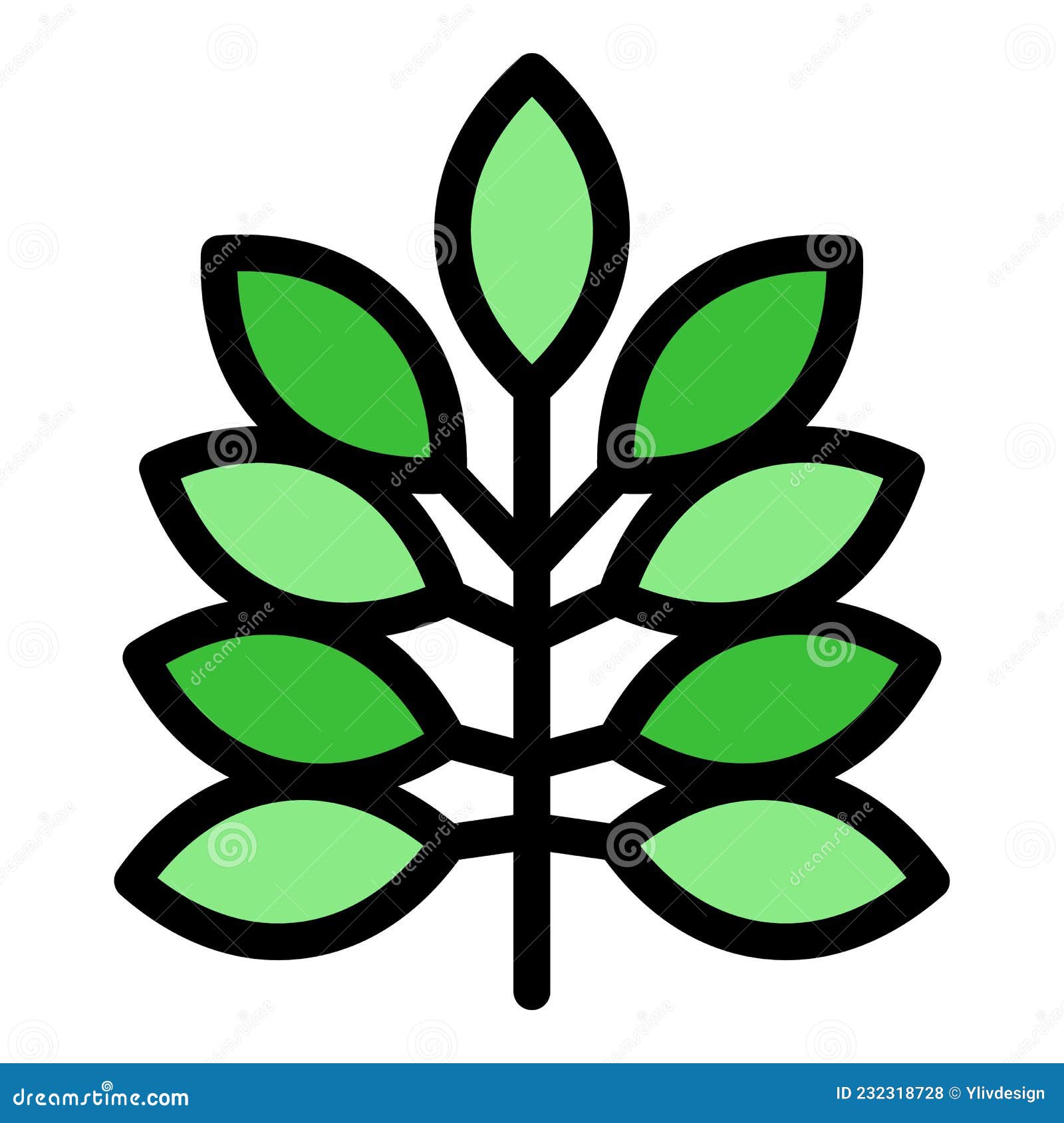 Oregano Icon Color Outline Vector Stock Vector - Illustration of hand ...