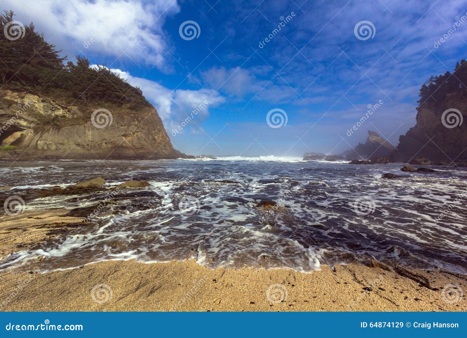 Oregon Bay stock image. Image of sand, oregon, foam, forest - 64874129