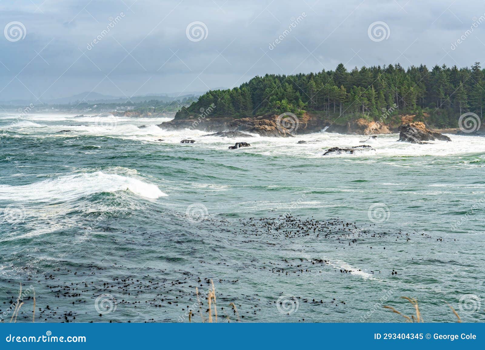 Oregon Boiler Bay Scene 12 stock image. Image of water - 293404345