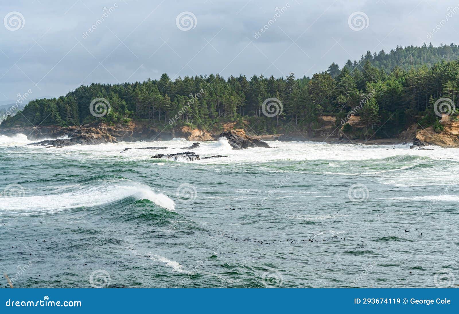 Oregon Boiler Bay Scene 13 stock image. Image of northwest - 293674119
