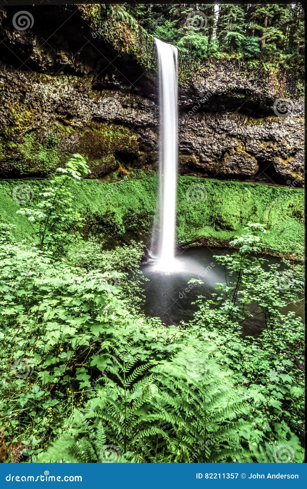 Oregon Cascade Mountains, Silver Falls State Park Stock Image - Image ...