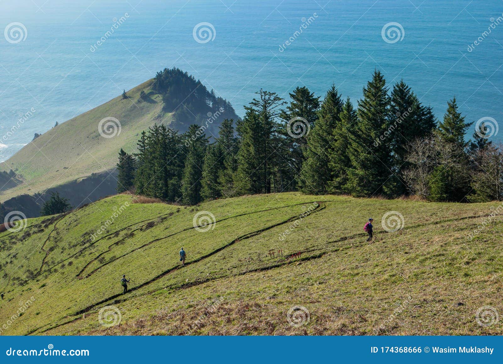 The Oregon Coast As Seen from Cascade Head Preserve Stock Photo - Image ...