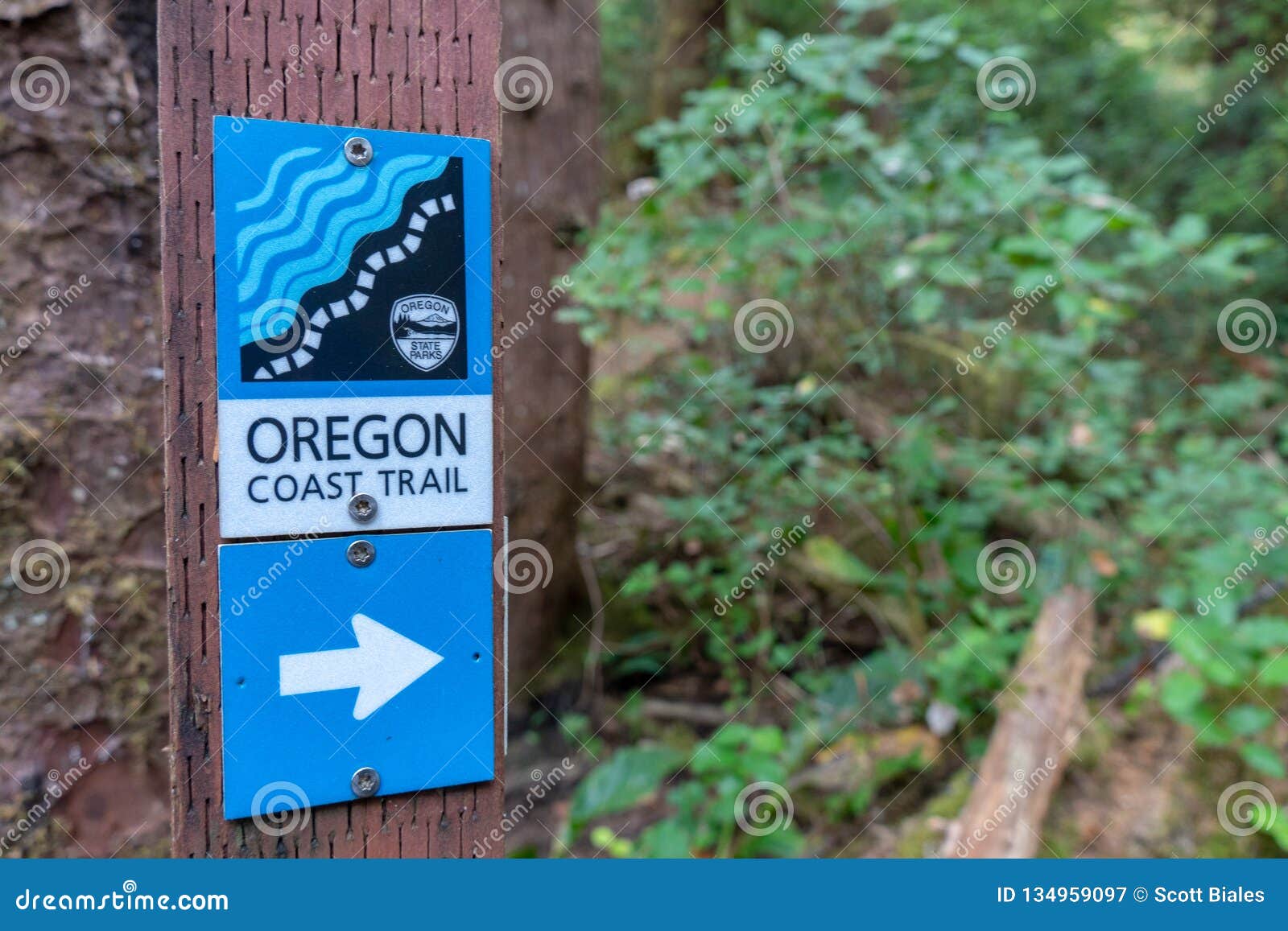 Oregon Coast Beach Signage stock image. Image of path - 134959097