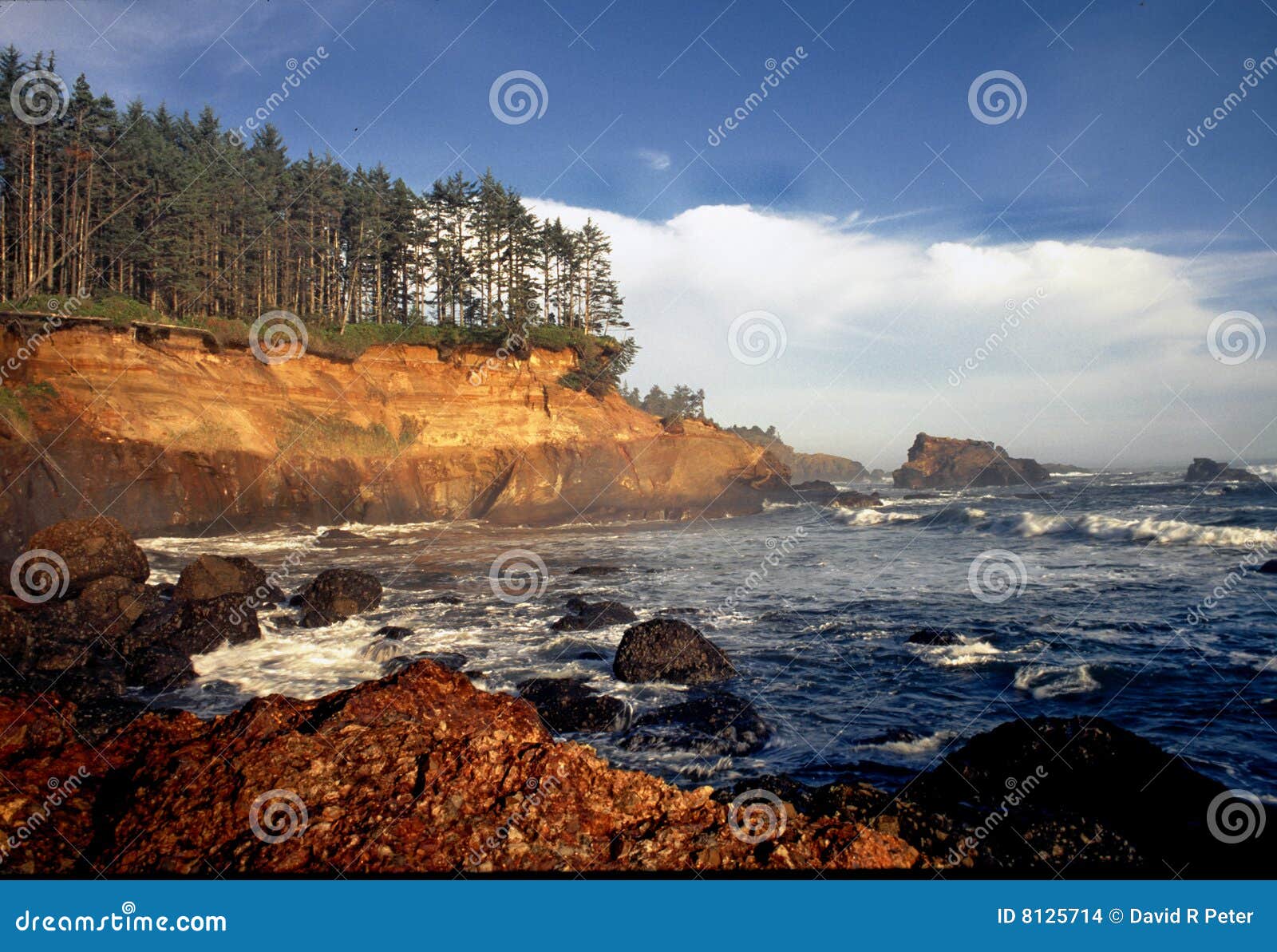 Oregon Coast Cliffs Meet The Ocean Aves Stock Photo | CartoonDealer.com ...