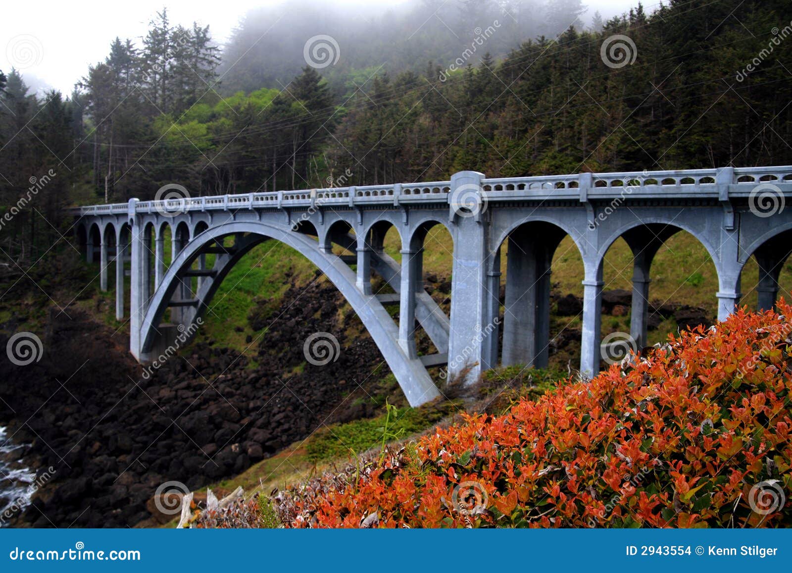 Oregon Coast Bridge stock photo. Image of seashore, beauty - 2943554