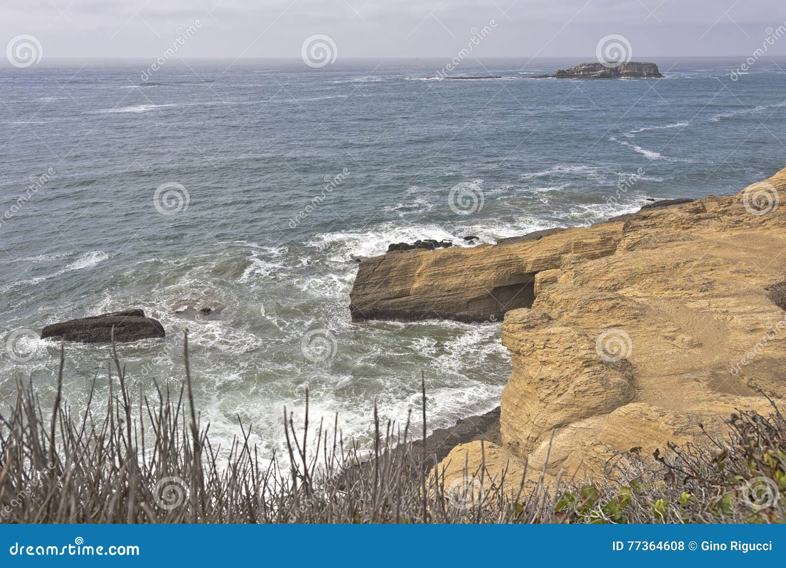 Oregon Coast Cliffs and the Pacific Ocean. Stock Photo - Image of rocks ...