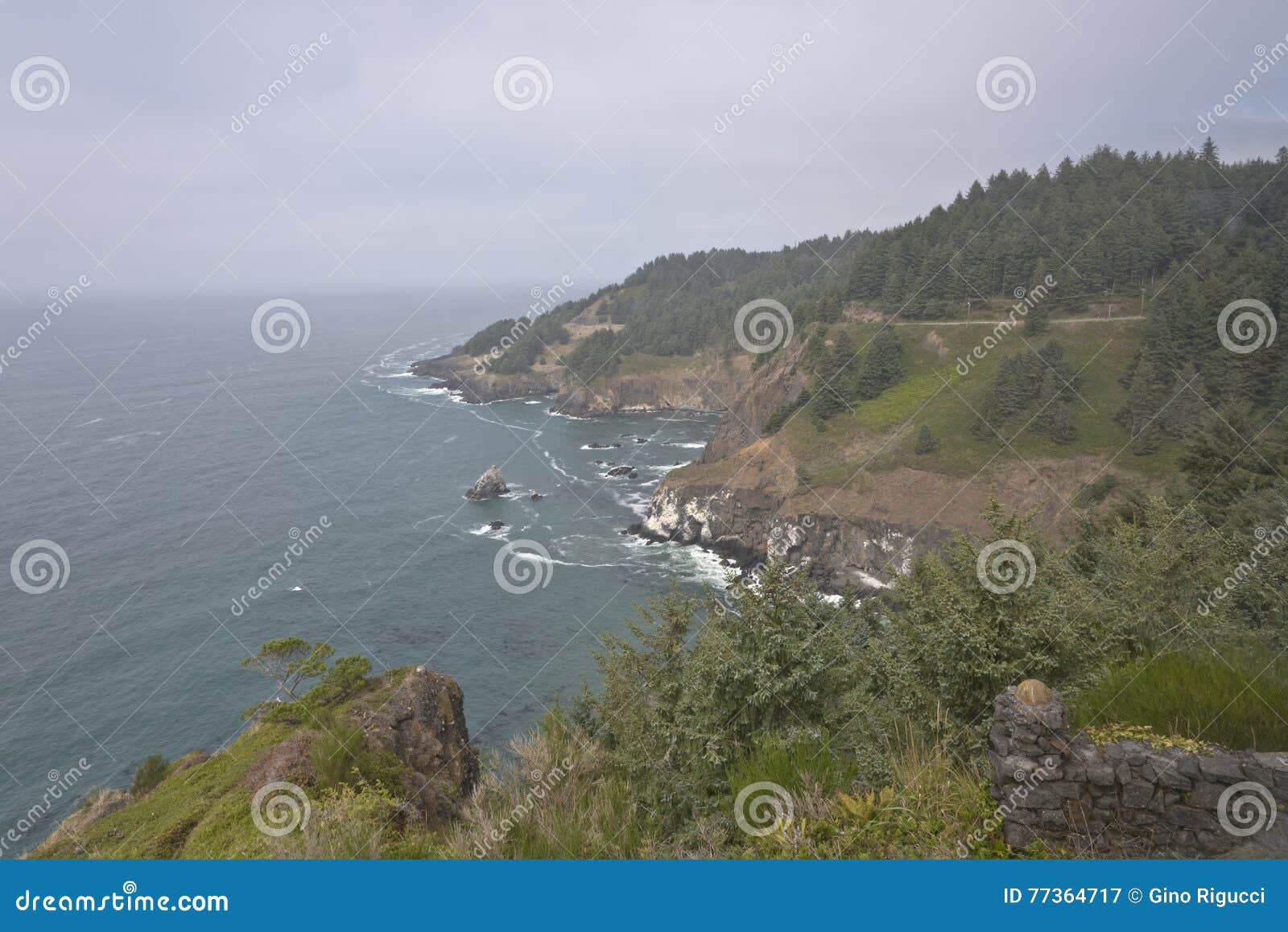 Oregon Coast Cliffs and the Pacific Ocean. Stock Image - Image of body ...
